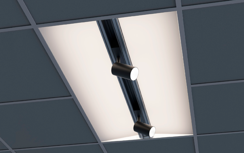 TD MAG. TD MAGNETO 2x4. by Coronet