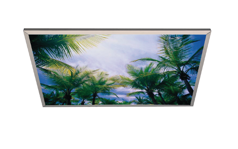 CV. Changing Views Series Ceiling / Recessed Grid (2x2 / 2x4 / 4x4) by ...