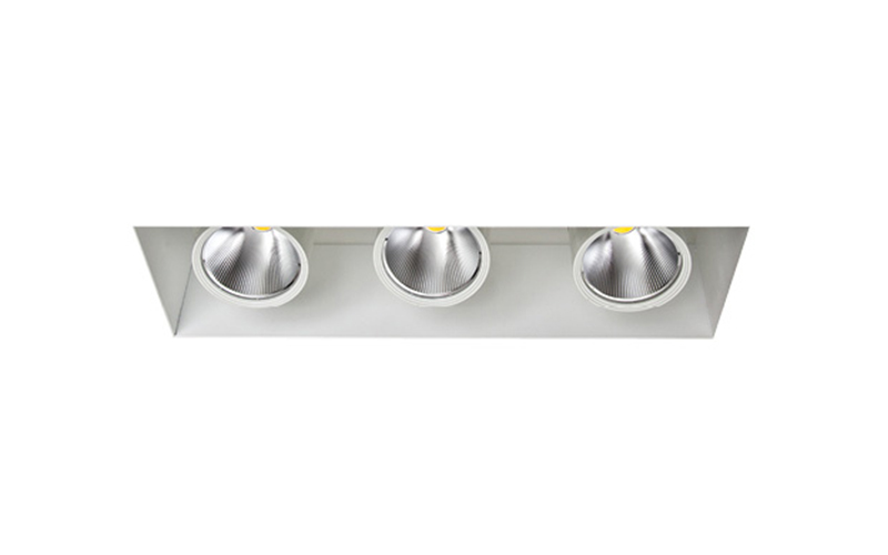 ICLTL-R-OB1G2-3. ORBIS G2 Recessed Multiple Trimless (3) Head by ...