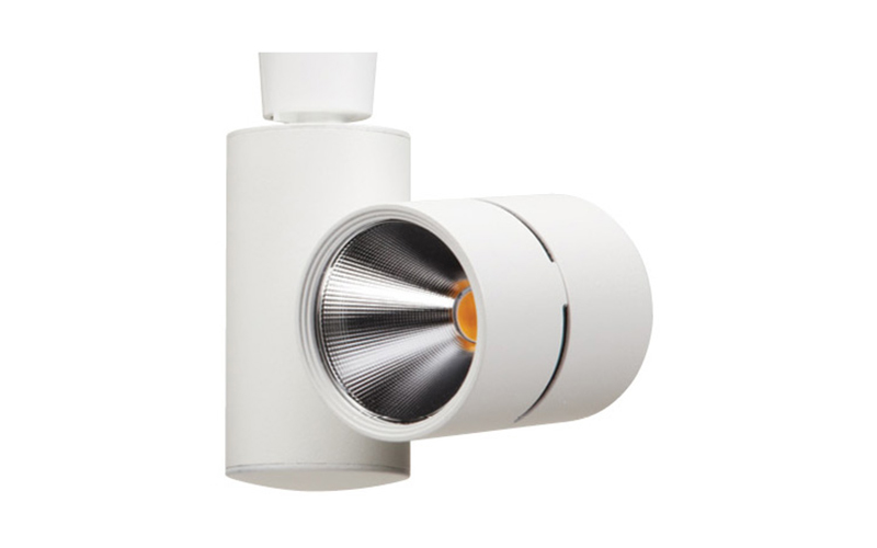 OB1G2. ORBIS Vertical Round Accent. by Intense Lighting, Leviton