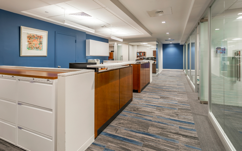 Hs1. Hassium 1 Cable Suspended. by Lumium Lighting