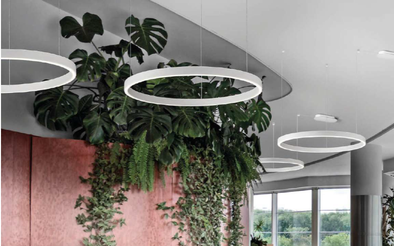 2129. LOOP PENDANT (Single Fixture) BEAM DOWN & BEAM UP + DOWN. by Lola Lighting, Gordon Bullard