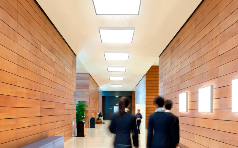 GAZESQS. Gaze Soft Edge — Square Pendant, Surface & Wall. by Prudential ...