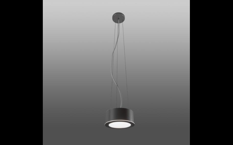 AIP12048. Loris 10 in. by SPI Lighting