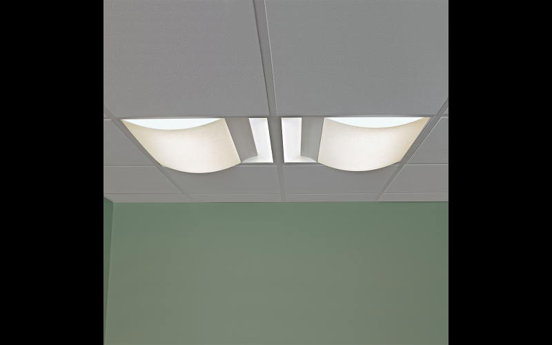 CM1906. UNITY 2' x 4' Overbed. by Visa Lighting