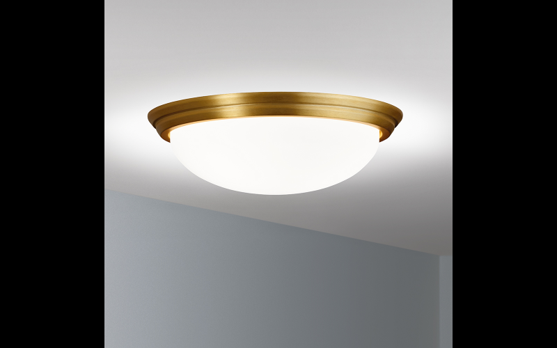 CM1091. CARLTON. by Visa Lighting