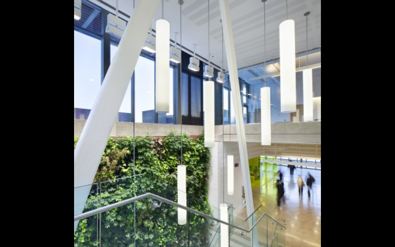 OP2264. SEQUENCE Outdoor Pendant 8'' Diameter – Catenary Suspension. by ...